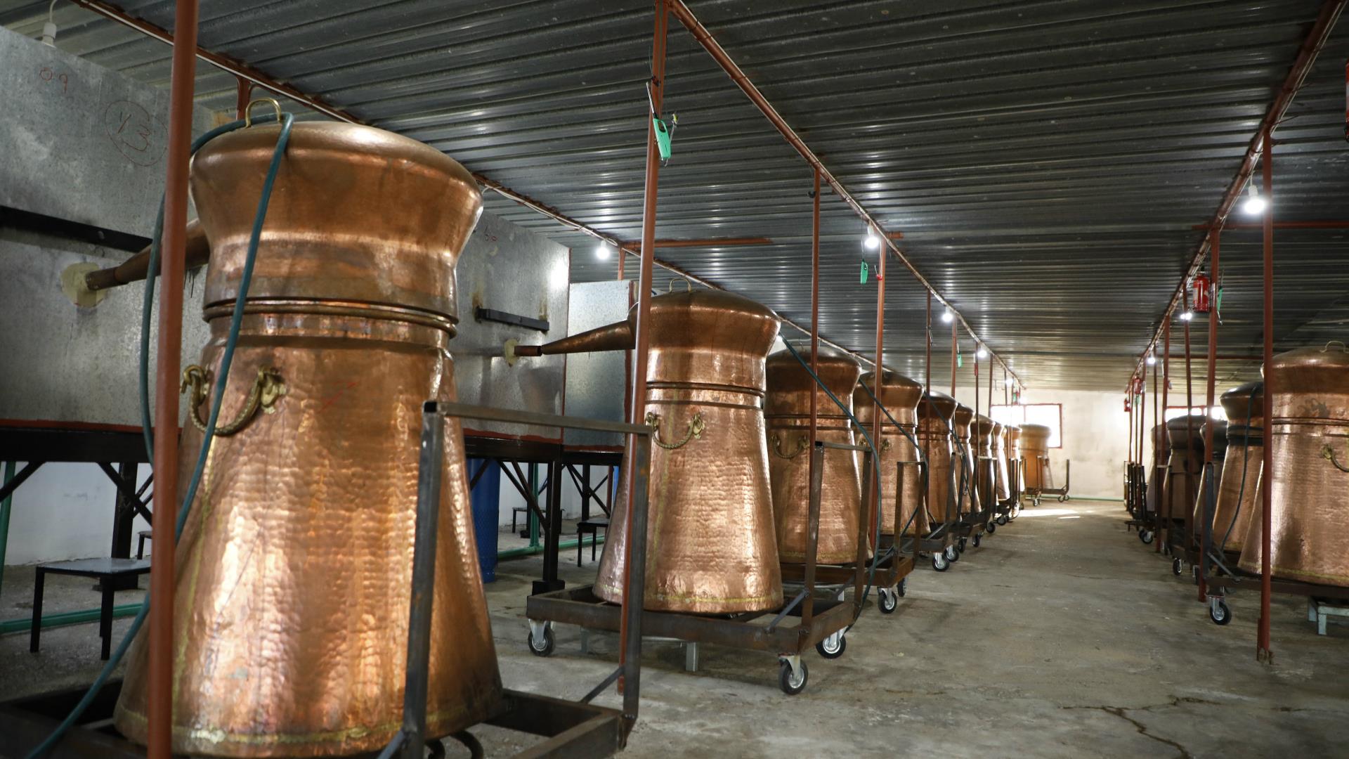 Meet the family-owned Lebanese farm that exports organic produce to ...